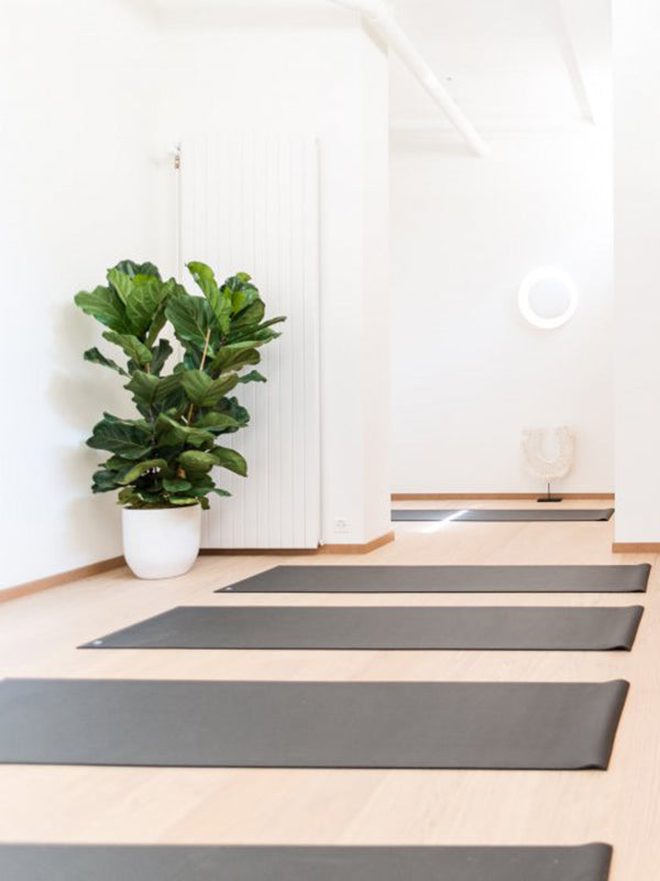 Alive Genève | Ecolabo Eco City Guides